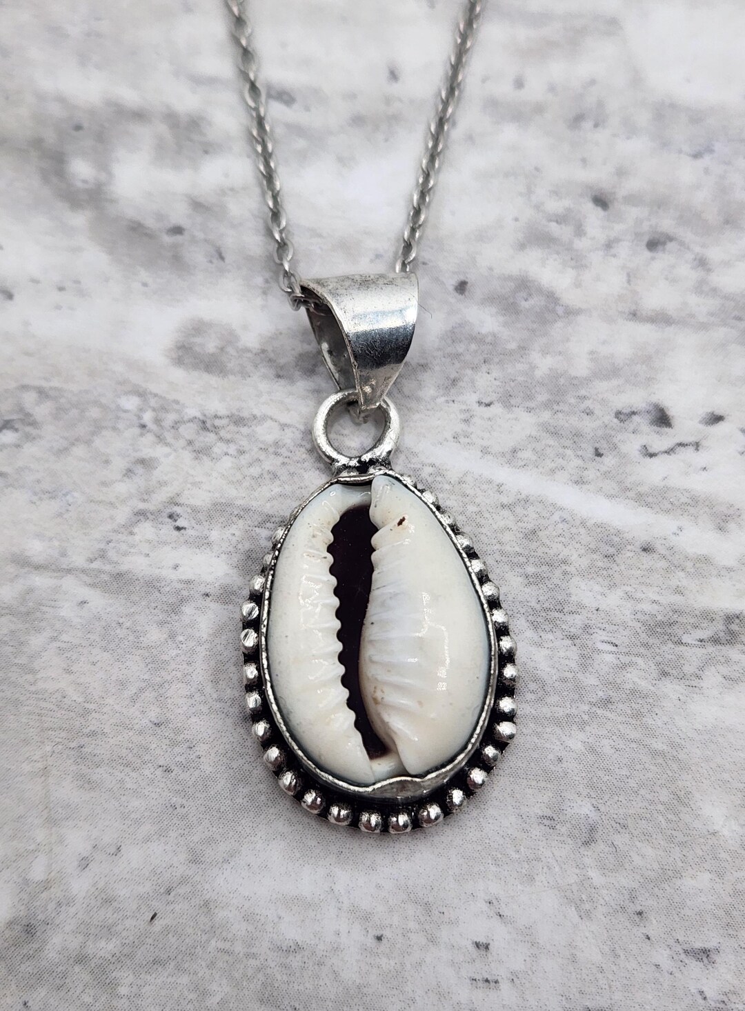 Cowrie Shell Pendant With Chain Necklace - 925 Sterling Silver Plated ...