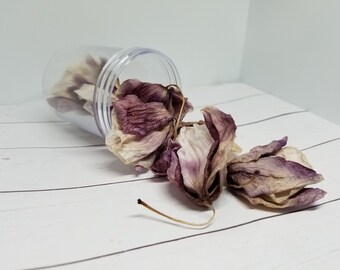 Dried Orchid Flowers - Etsy