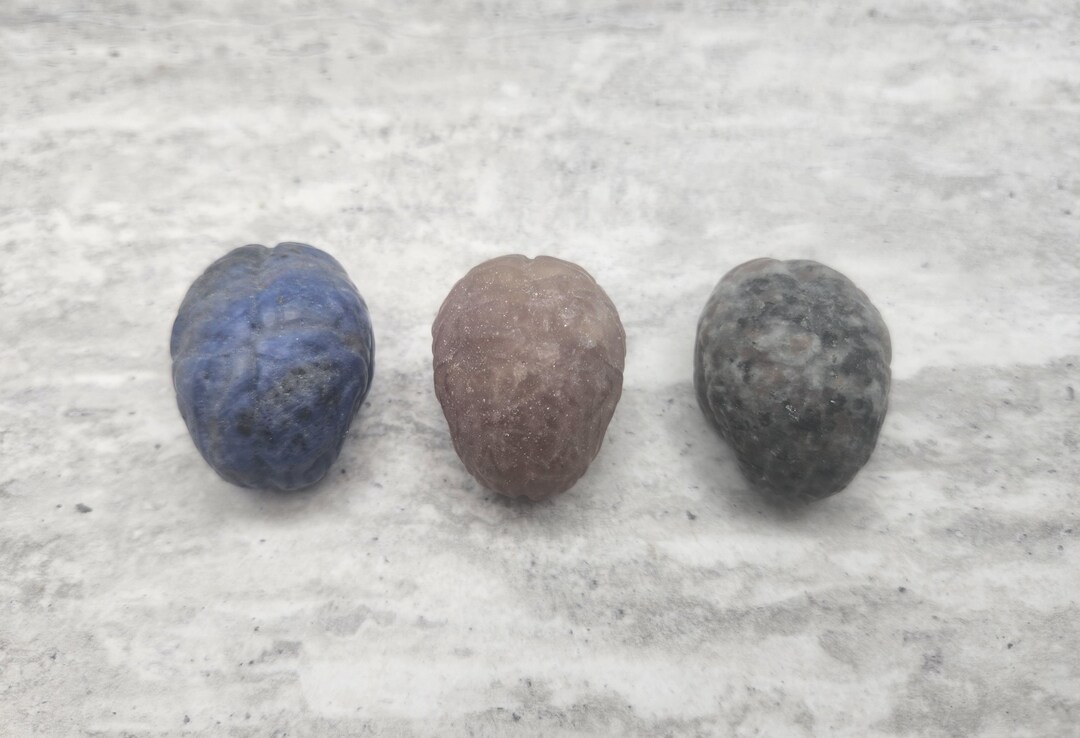 Small Human Anatomy Brain Natural Crystal Carving - Human Body Organ - Etsy