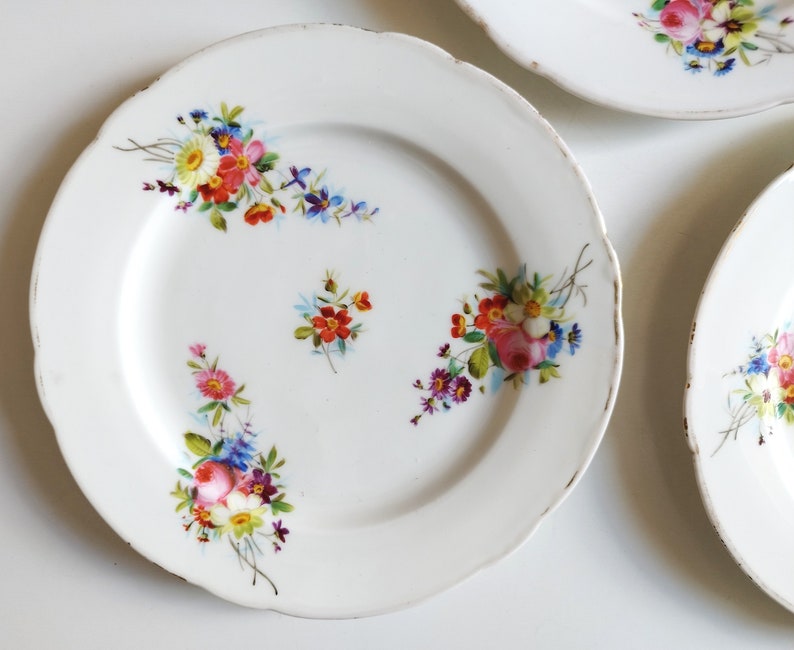 Hand Painted Porcelain Plates Paris Pillivuyt Roses Flowers 19th ...