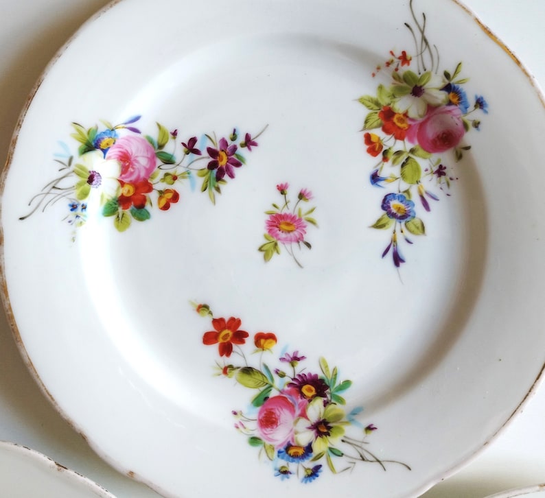 Hand Painted Porcelain Plates Paris Pillivuyt Roses Flowers 19th ...
