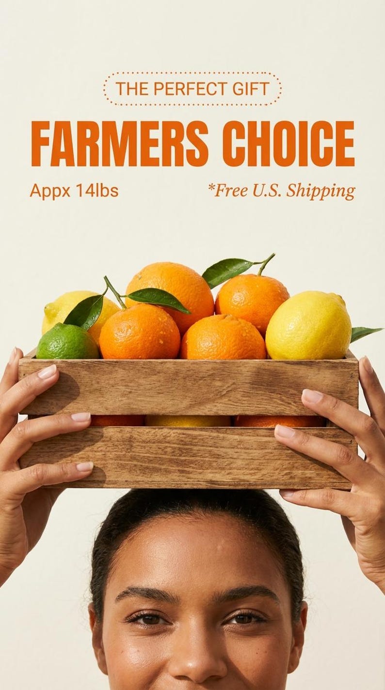 Custom Citrus Mix, Gourmet California Pink Navels,lemons,tangerines ...