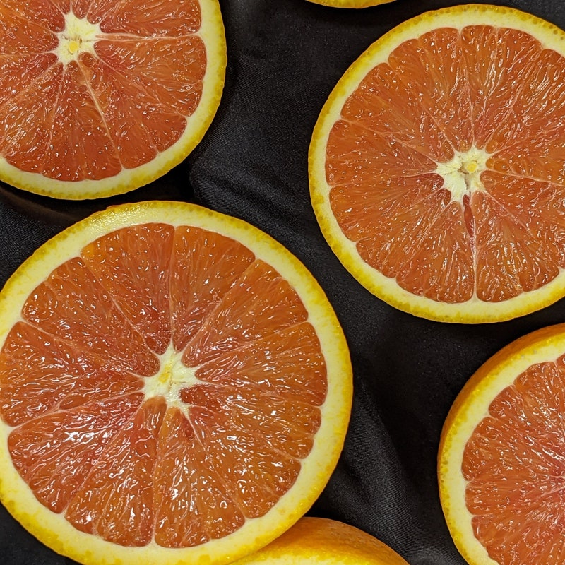 Custom Typed Notes - Etsy