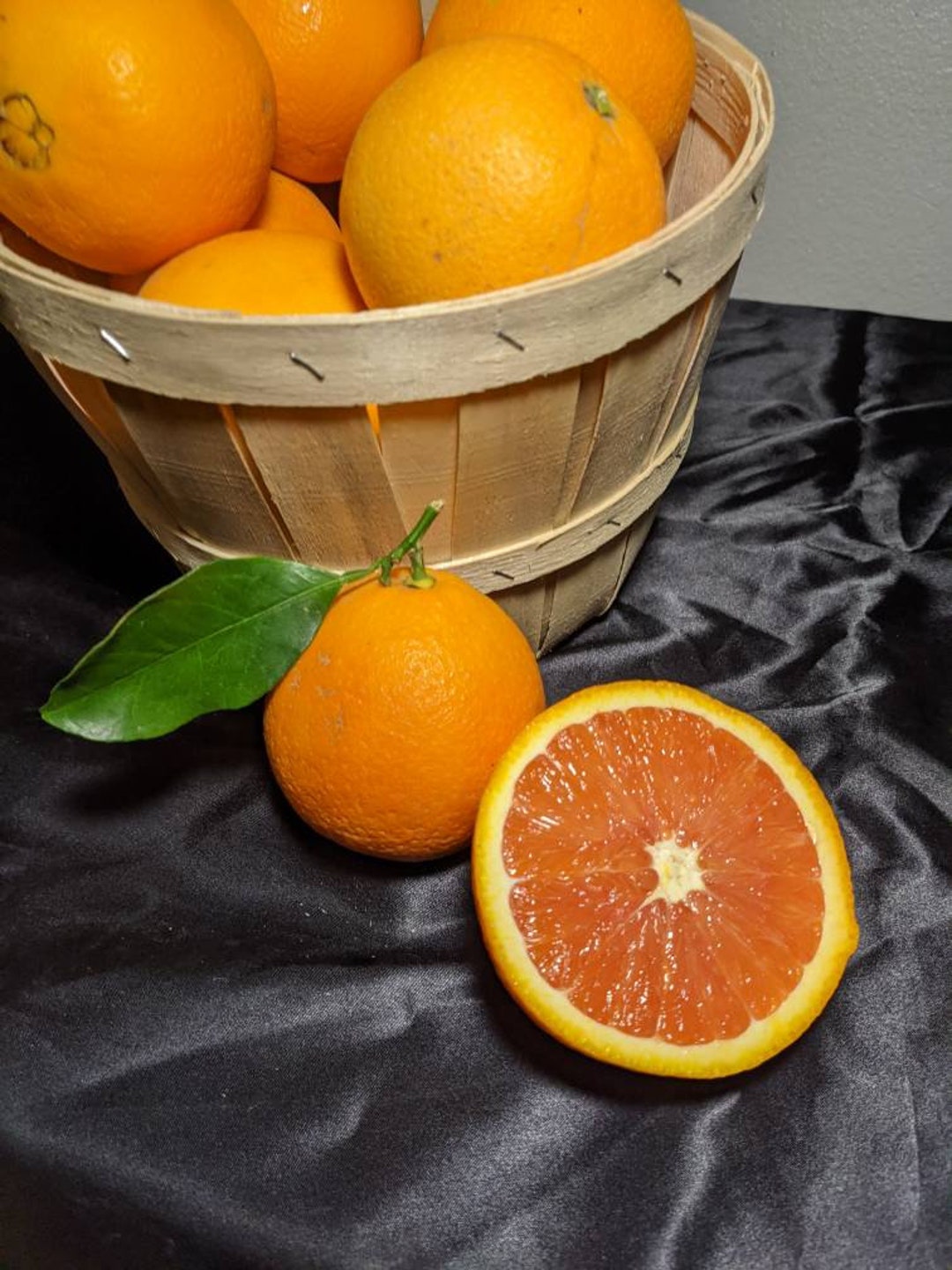 Fresh Crop Hanging on the Tree Why Are Cara Cara Oranges so Good Box ...