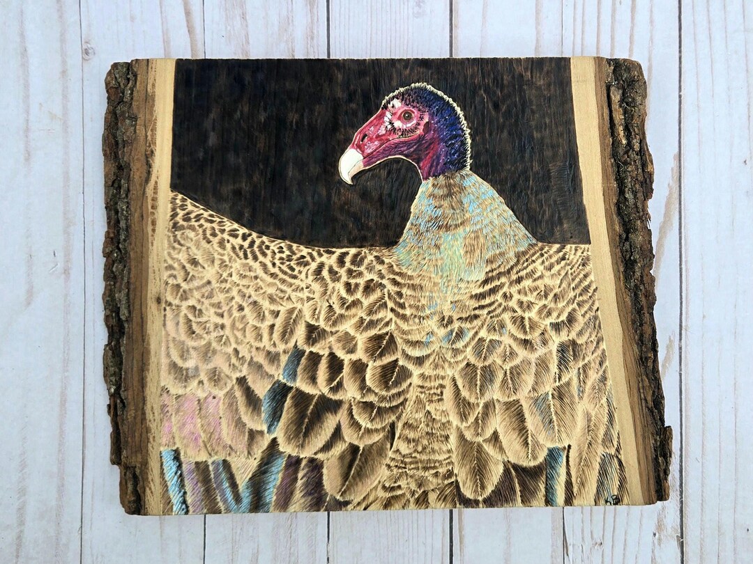 Original Turkey Vulture Art, Wood Burning Bird Fine Art, Live Edge ...