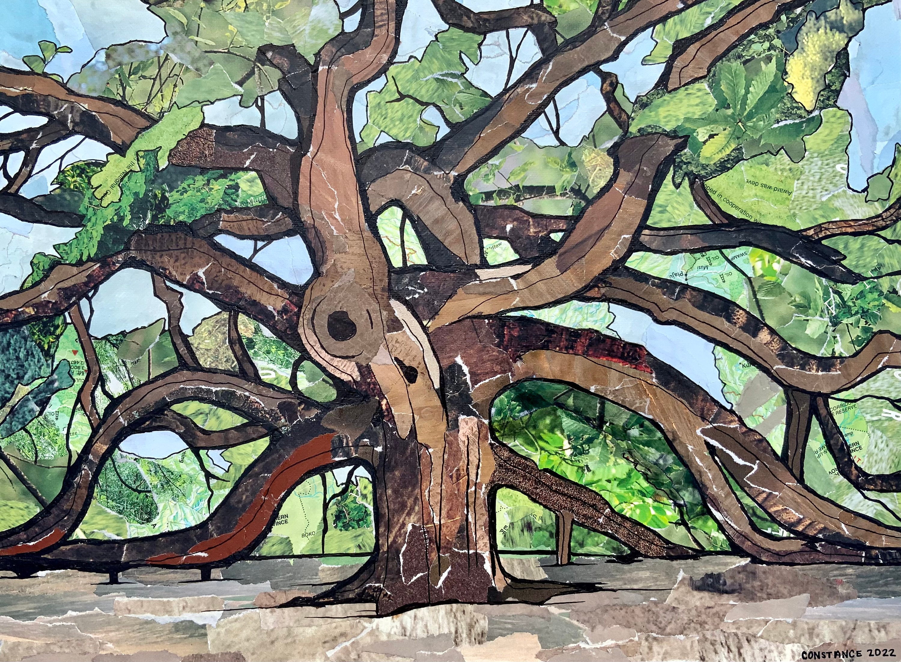 Live Oak Collage Fine Art Print - Etsy