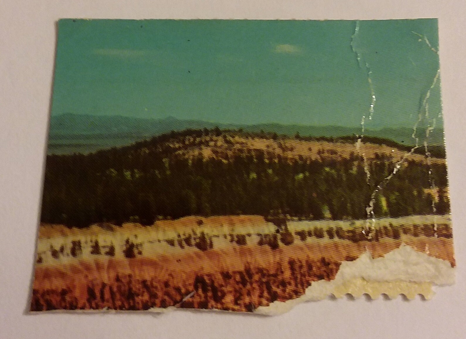 Preserve the Environment Stamp - Etsy