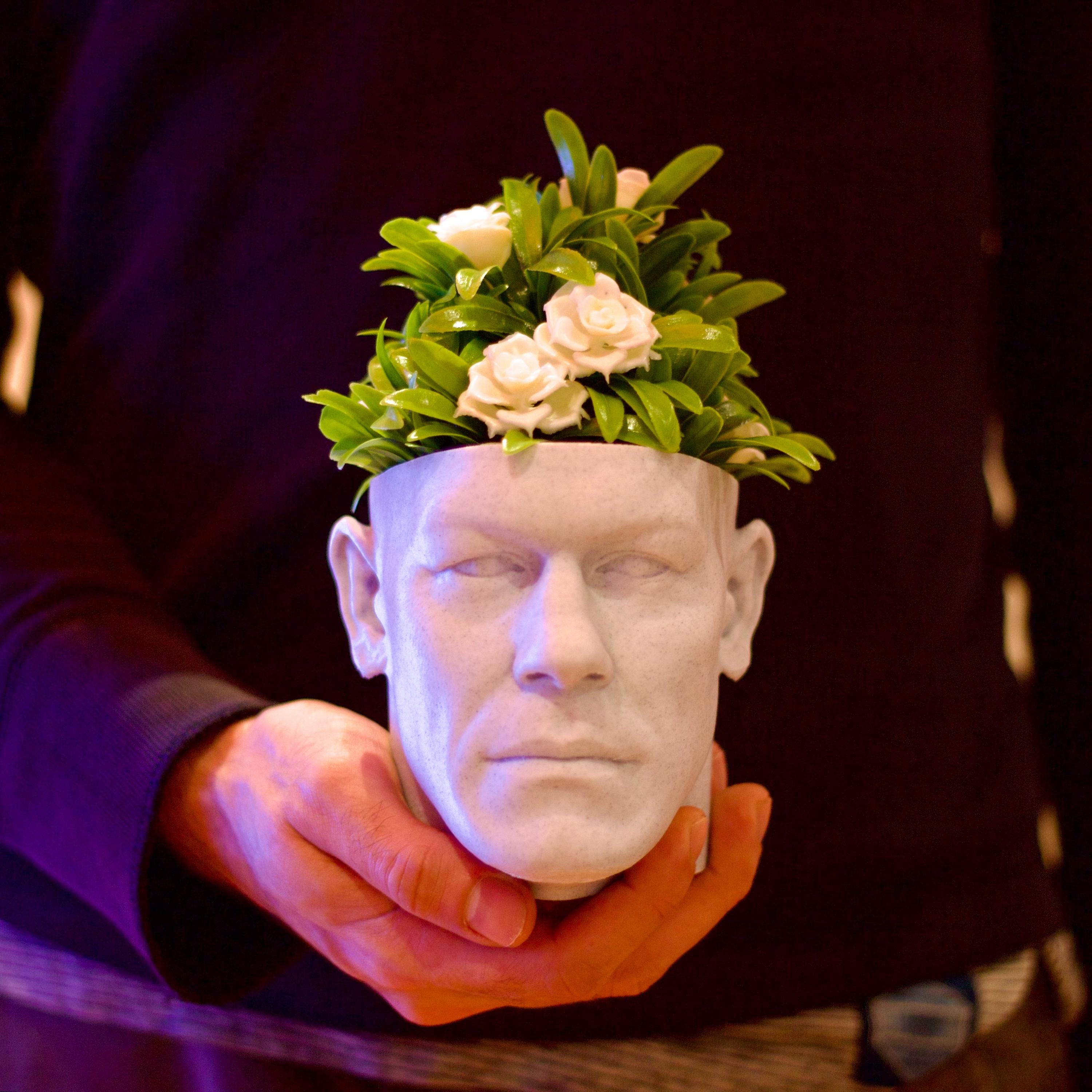 John Cena Head Planter - Custom Celebrity Face Pot, WWE Star Succulent ...