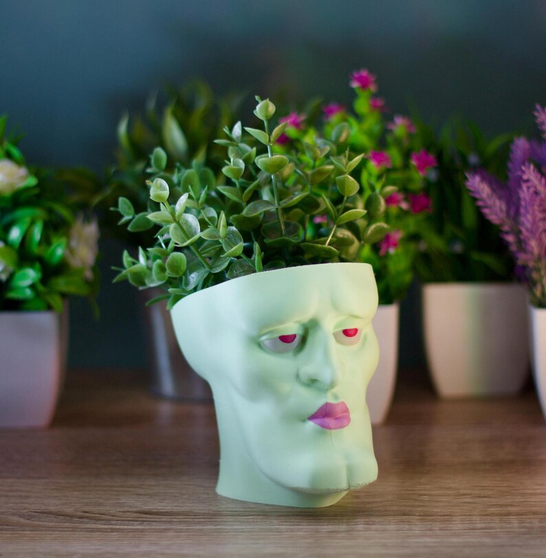 Handsome Squidward Head Planter Custom Spongebob Meme Face Pot, Funny ...