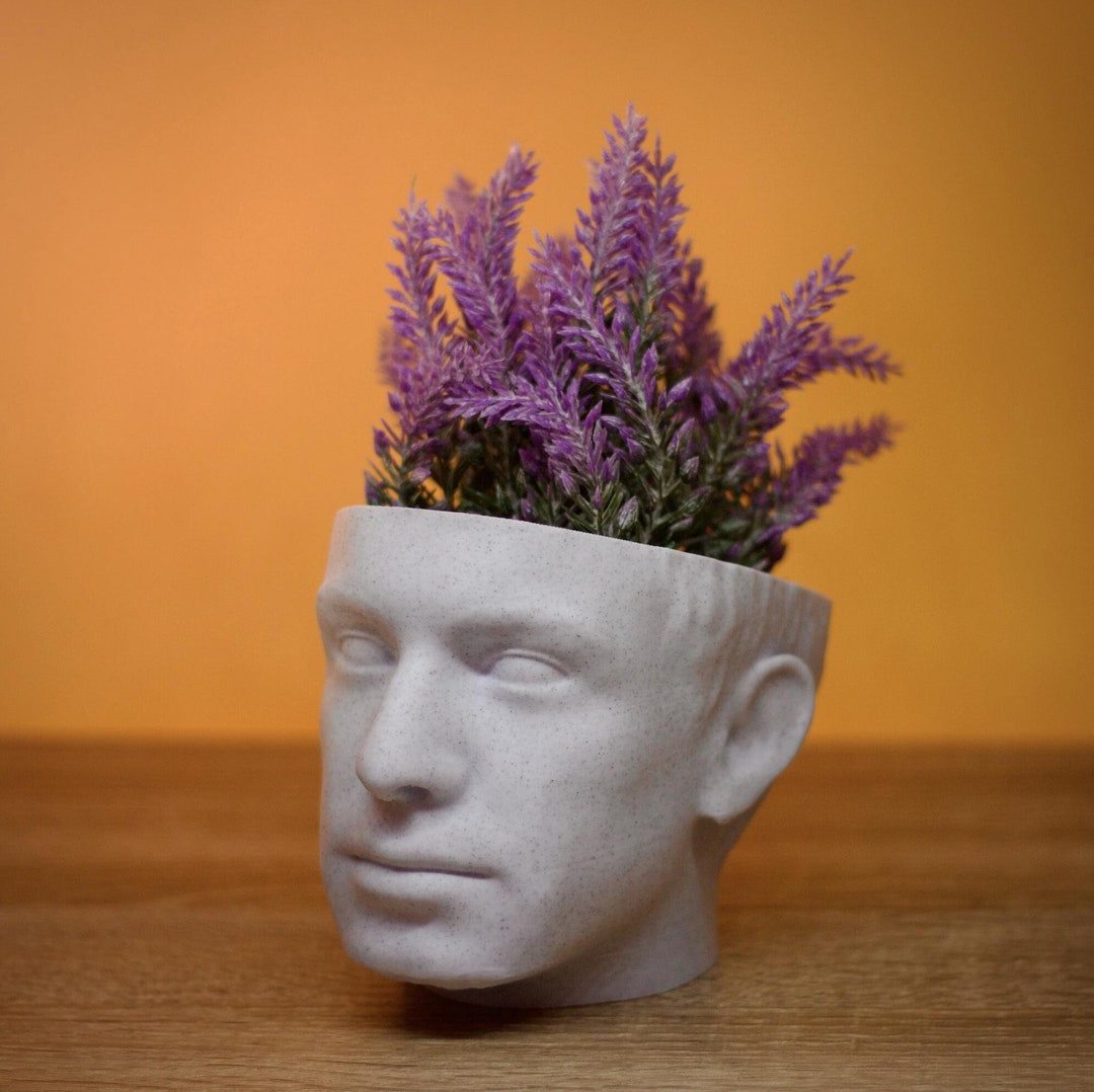 Nathan Fielder Head Planter – Custom Celebrity Face Pot, Quirky ...
