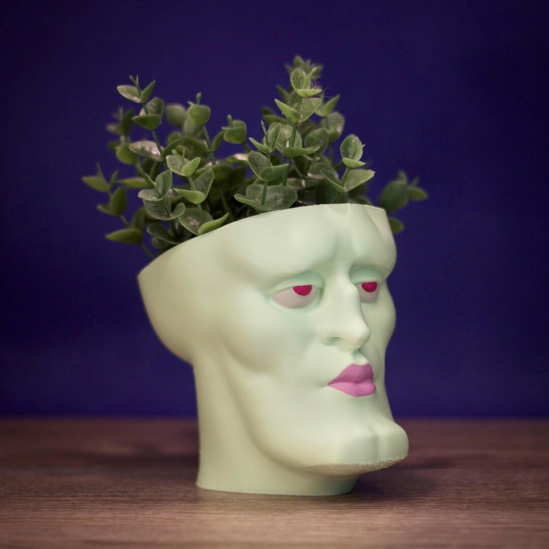 Handsome Squidward Head Planter Custom Spongebob Meme Face Pot, Funny ...