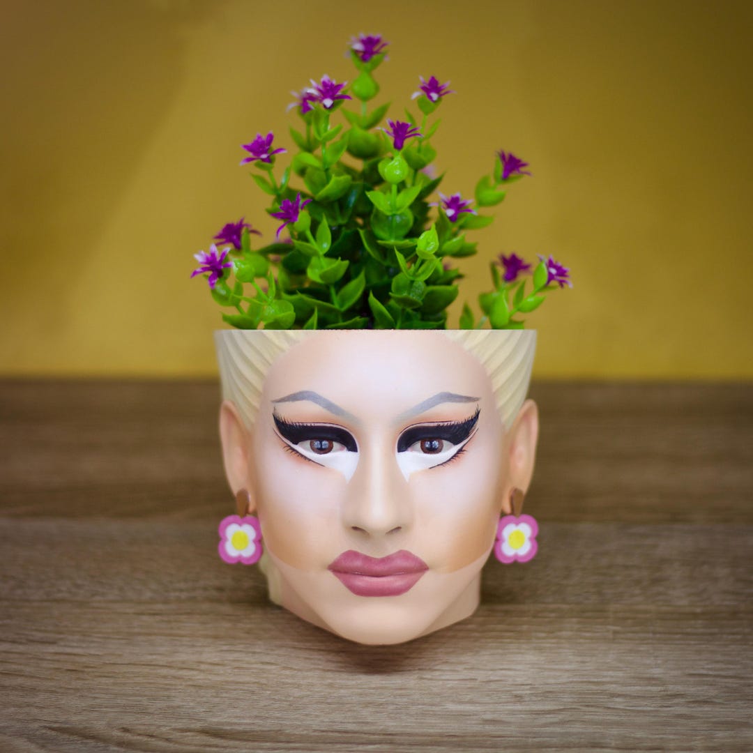 Trixie Head Planter – Custom Drag Queen Face Pot, Unique Succulent ...