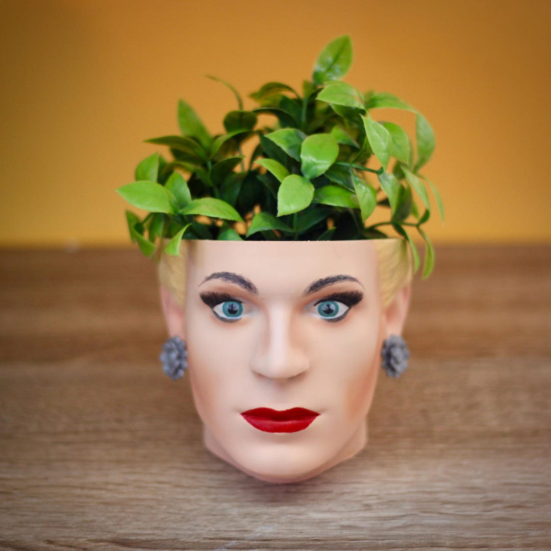 Katya Head Planter – Custom Drag Queen Face Pot, Unique Succulent ...