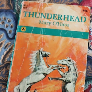 1973 Edition of Thunderhead by Mary O'hara Paperback - Etsy