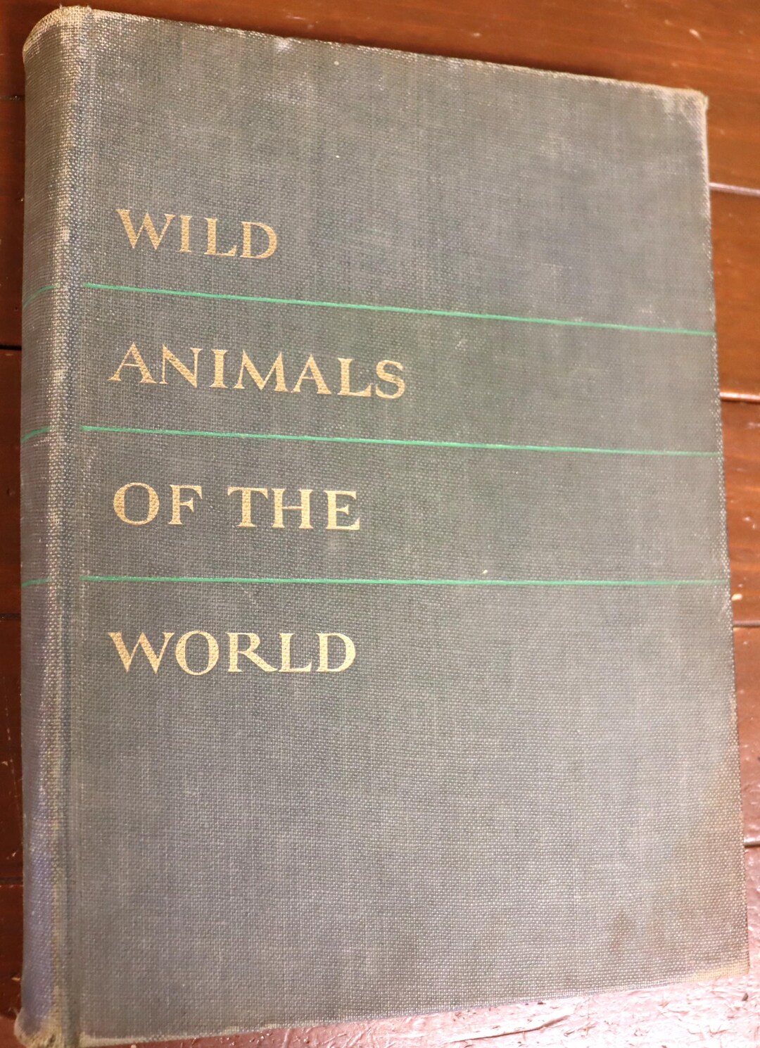 Wild Animals of the World by Barker and Bridges Garden City Publisher ...