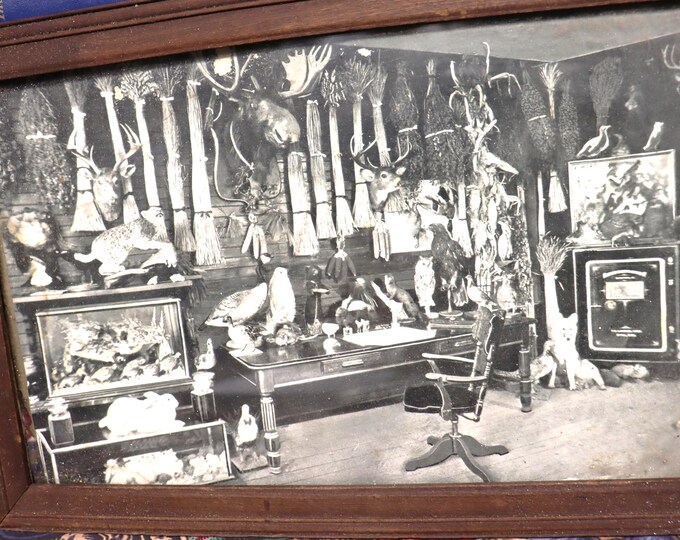 Vintage Framed Photo of a 1940s Hunting Cabin Interior 12 by 9 Inches ...