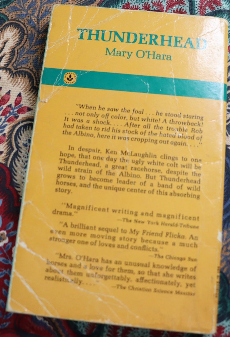 1973 Edition of Thunderhead by Mary O'hara Paperback - Etsy