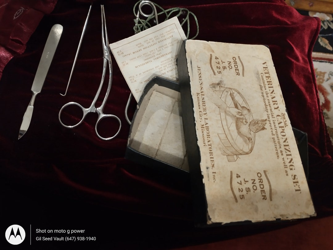 1923 Jen Sal Veterinarian Rooster Caponizing Set With Box Instructions ...