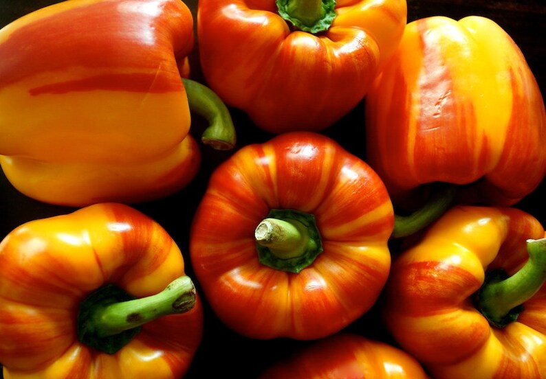 10 Types Rare Pepper Mix Scorpion Tiger Dragon Nose Variegated Fire ...