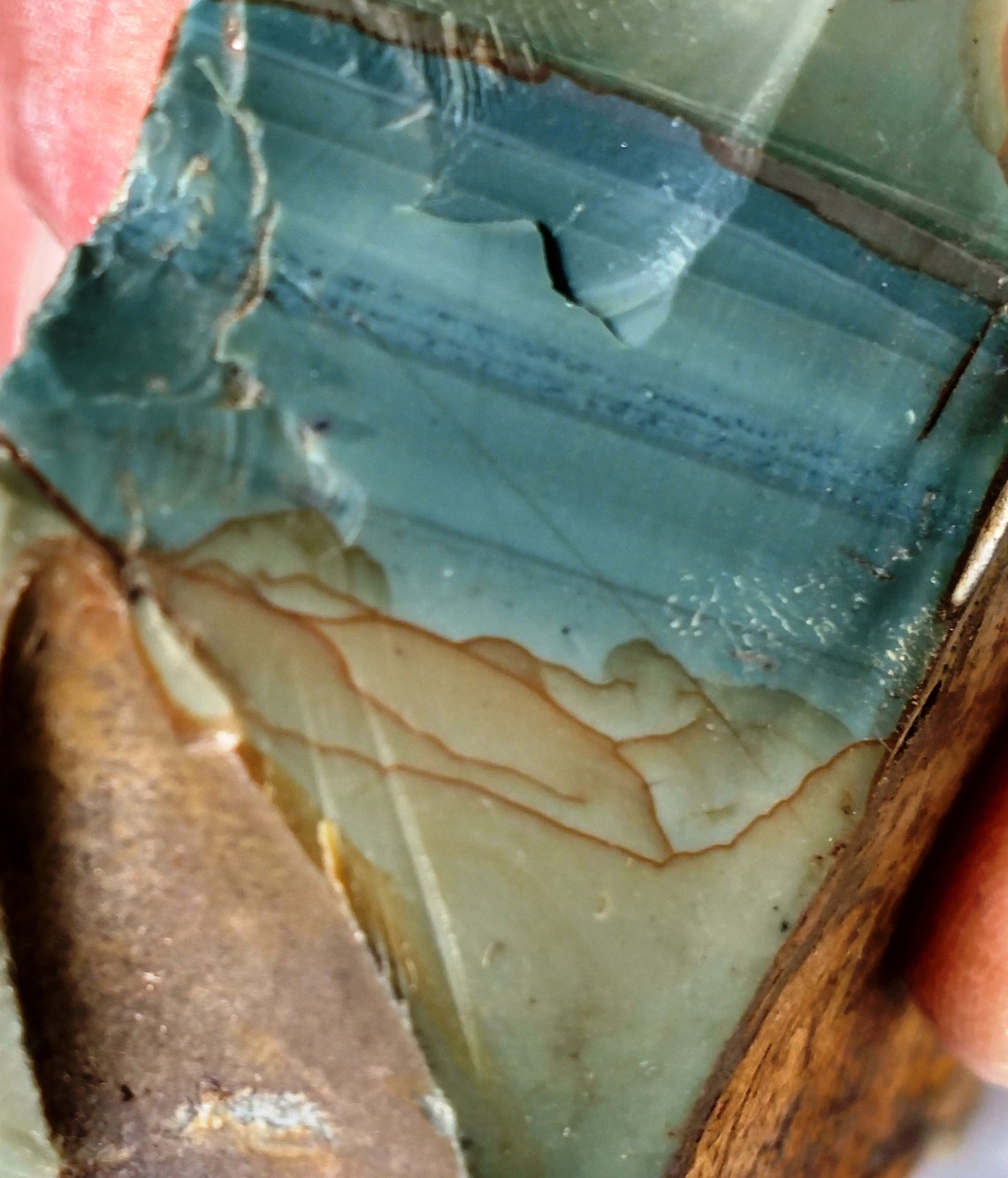 Oregon Picture Jasper Rough 558 Grams for Lapidary Cabochons Landscape ...