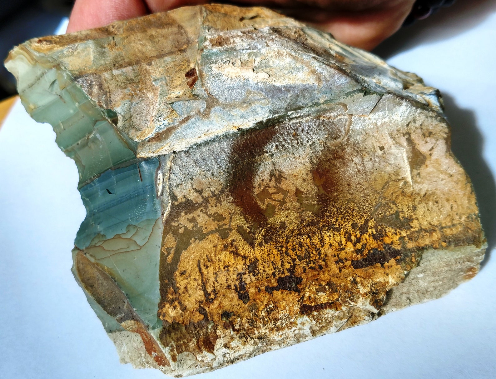 Oregon Picture Jasper Rough 558 Grams for Lapidary Cabochons Landscape ...