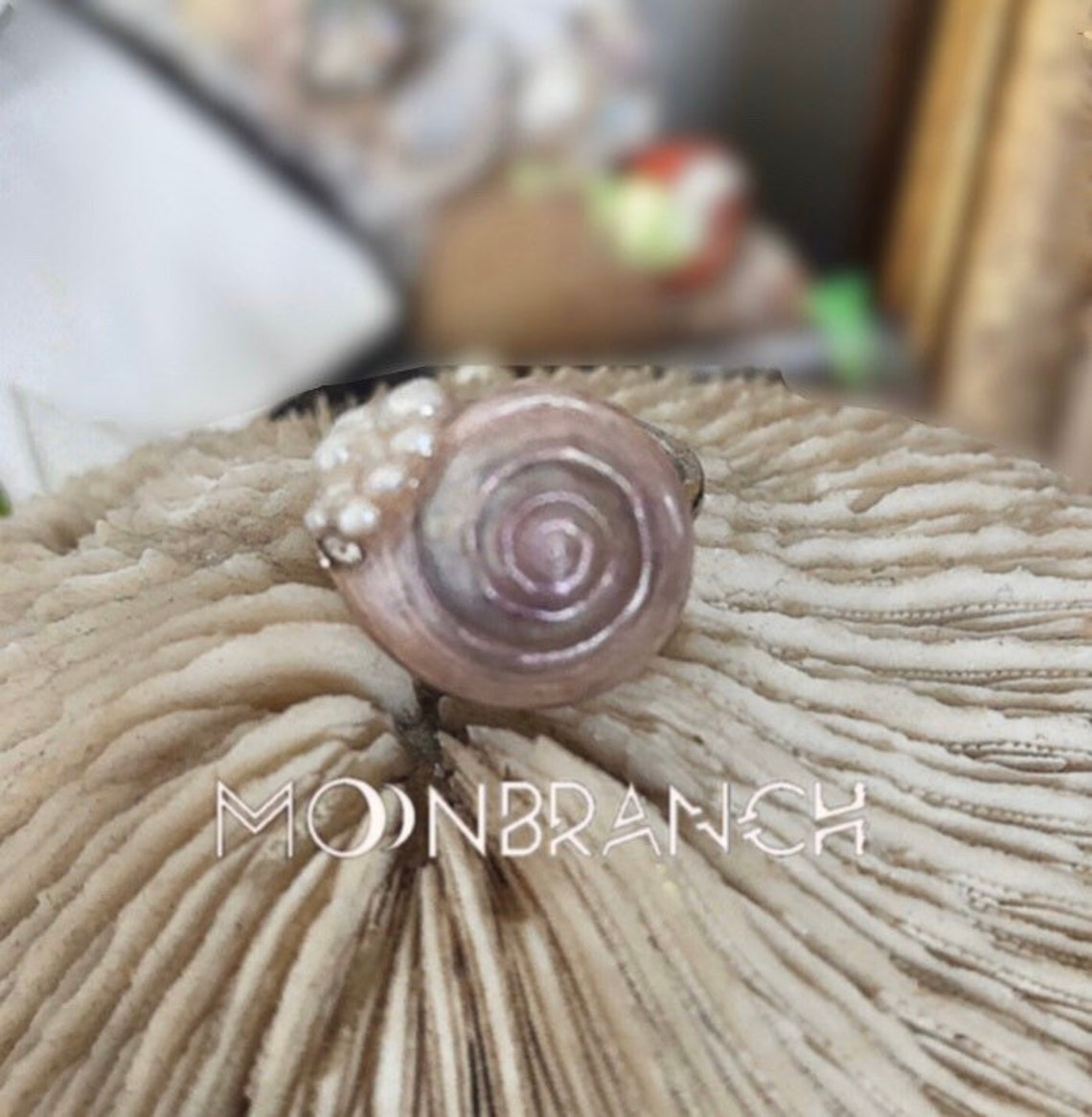 Spiral Seashell Mermaids Pearl Silver Everyday Beauty Ring - Etsy