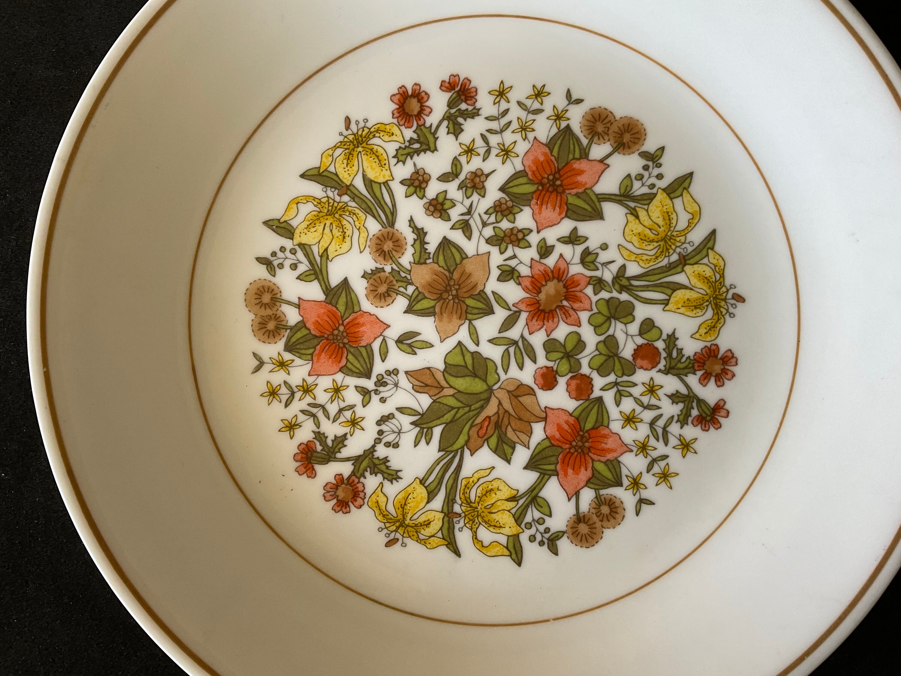 Corelle by Corning Indian Summer Dinnerware Collection, USA Made, 9 ...