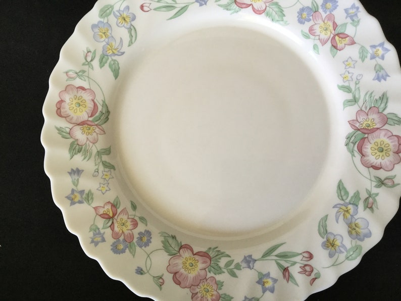 Arcopal Champetre Dinnerware Collection Made in France 19 - Etsy