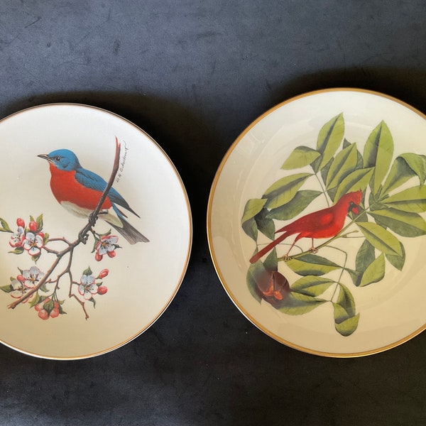 Bird Plates - Etsy