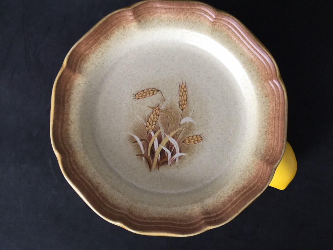 Mikasa Whole Wheat Granola 8 Dinner Plates E 8001 Dinnerware, Japan ...