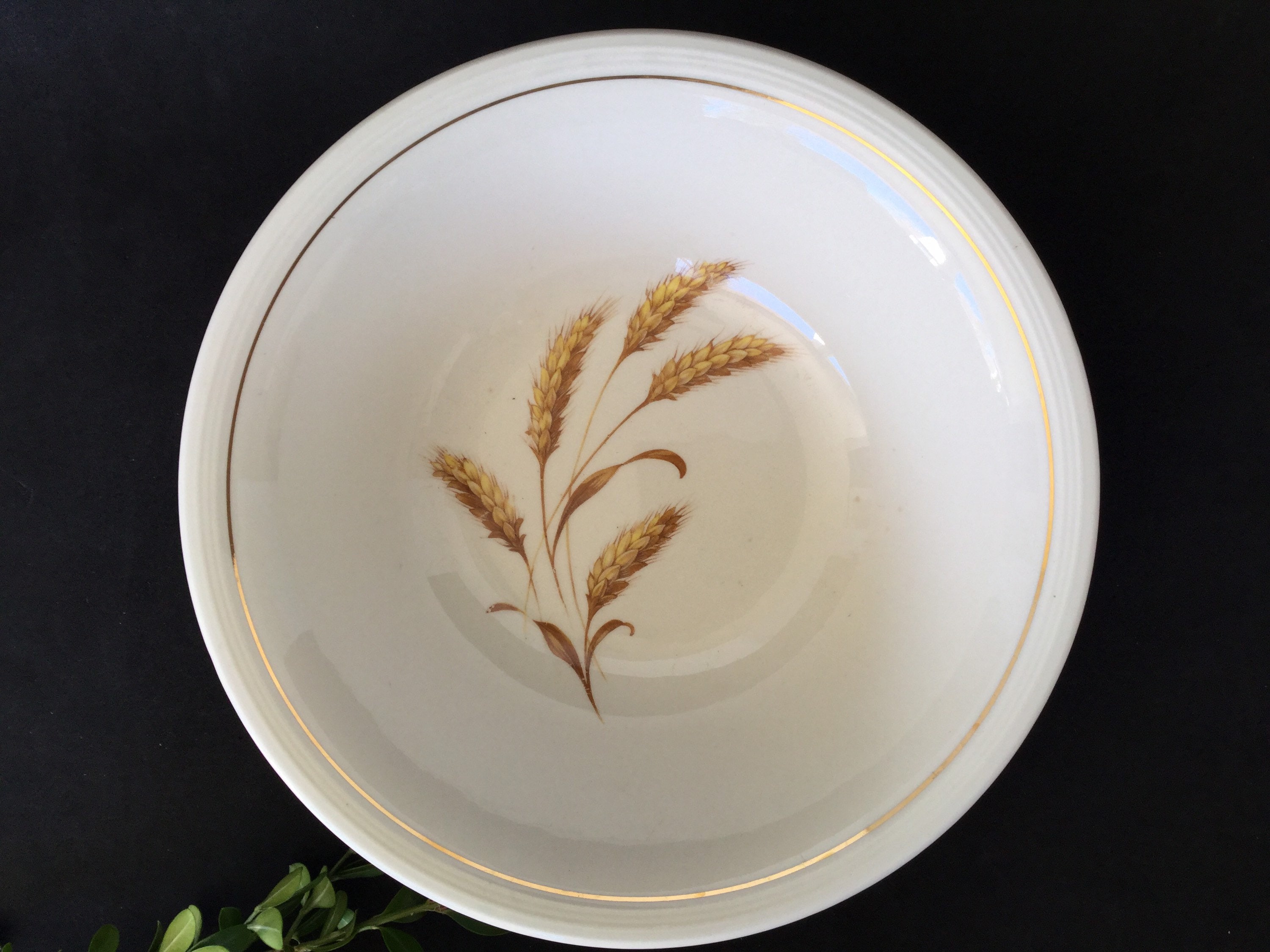 Golden Wheat Dinnerware Collection by Edwin M. Knowles China Co, 17 ...