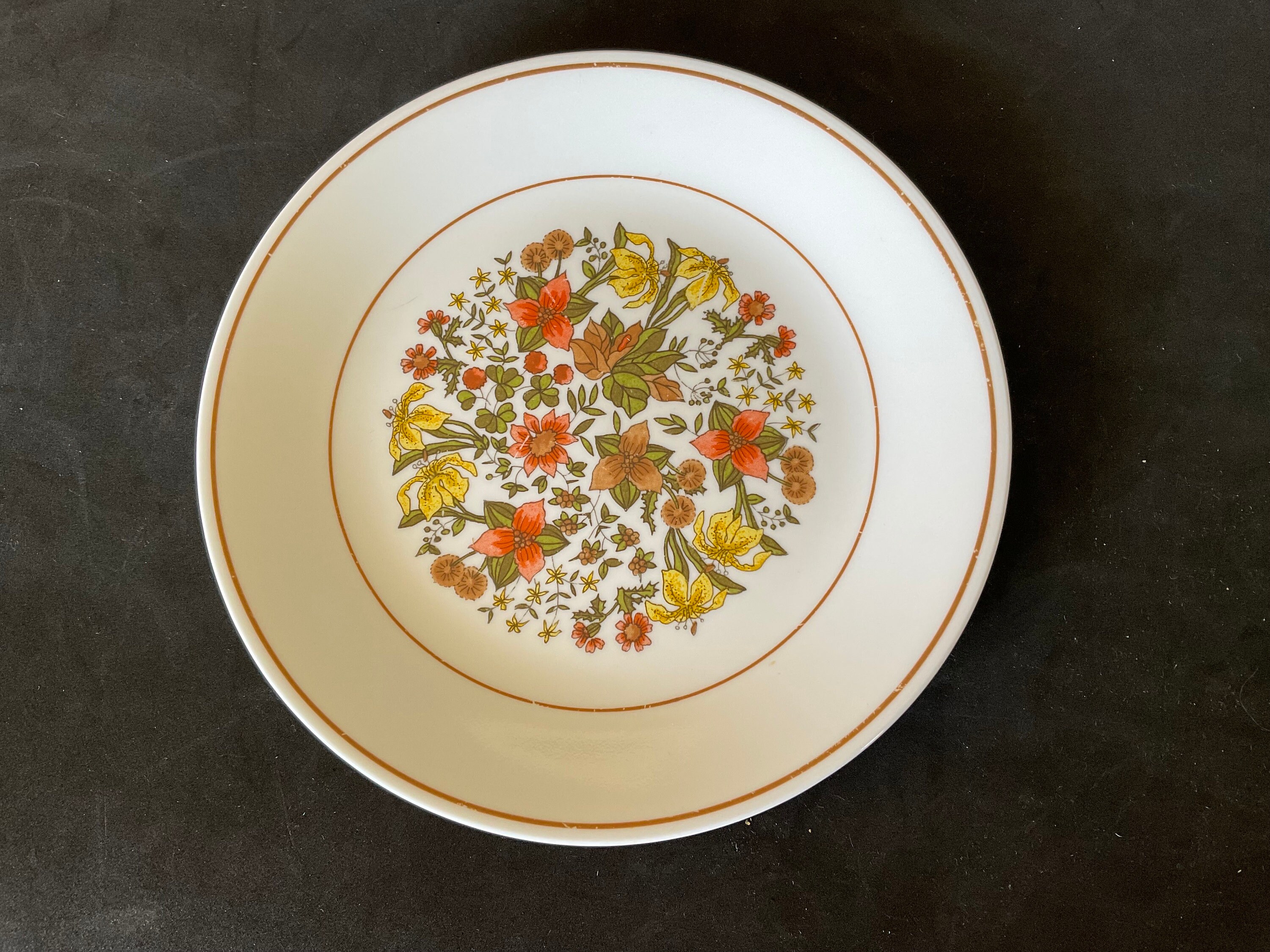 Corelle by Corning Indian Summer Dinnerware Collection, USA Made, 9 ...