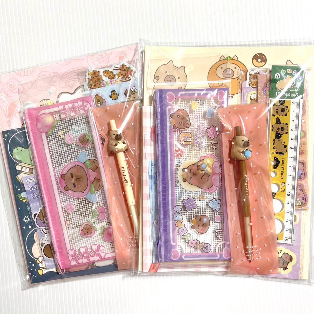 Capybara Set Stationery Christmas Gift for Her Birthday Present ...