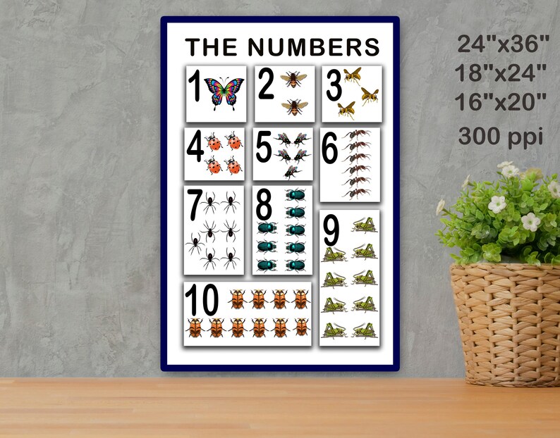 Education Learning Posters Pack : Alphabet, Numbers, Colors, Days ...