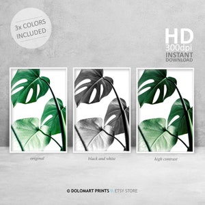 Monstera Leaf Print, Black and White Botanical Photography (digital ...