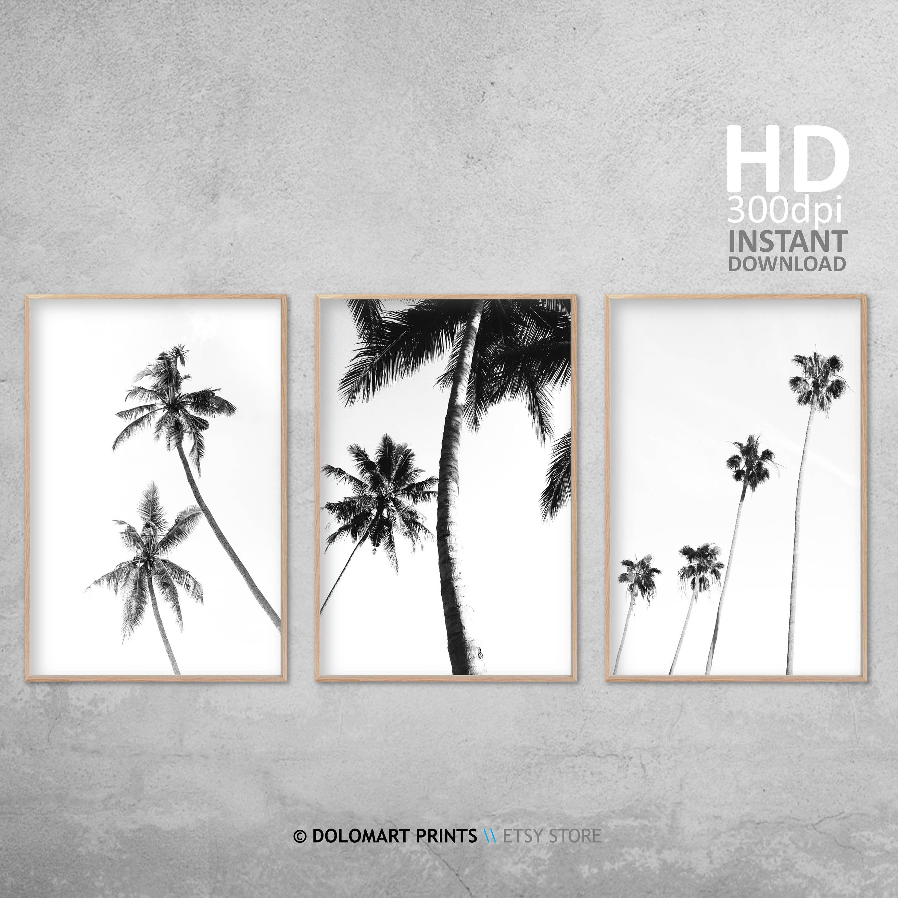 Palm Tree Print Tropical Wall Art Decor Set of Palm Prints | Etsy