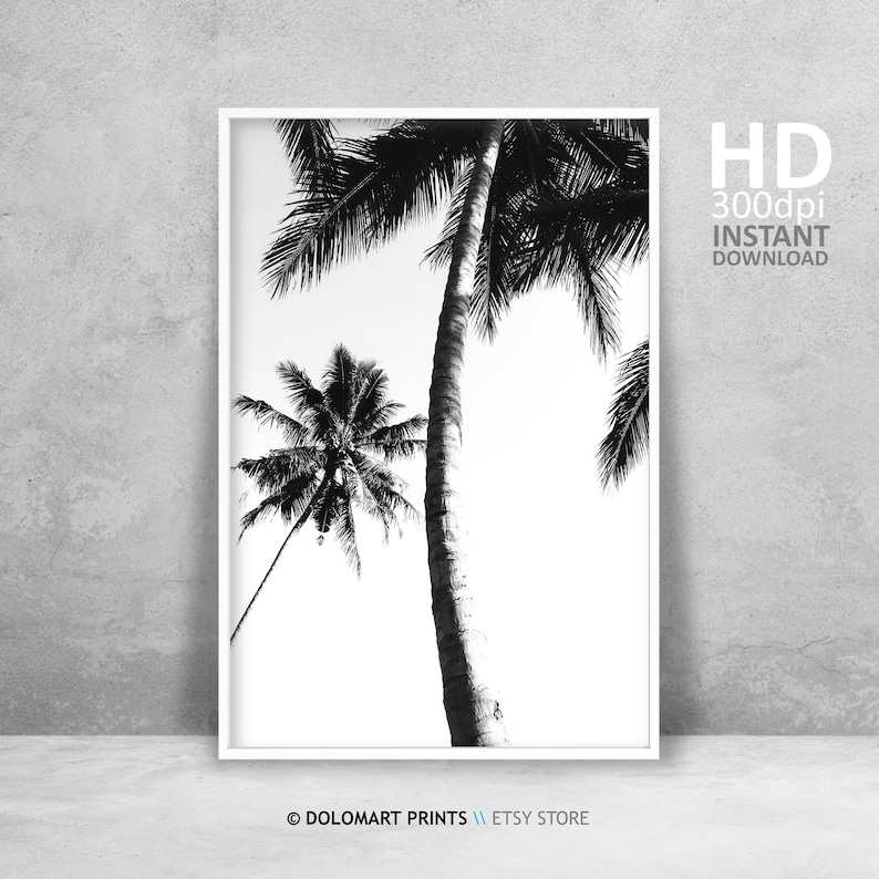 Palm Tree Print Tropical Wall Art Decor Black And White Palm Etsy