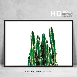 Succulent Print, Cactus Print, Botanical Print, Succulent Wall Art ...