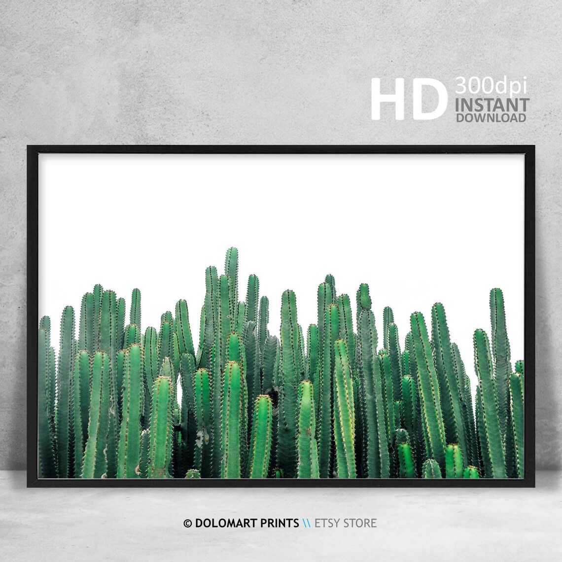 Succulent Printable Poster Minimal Cactus Wall Art - Etsy