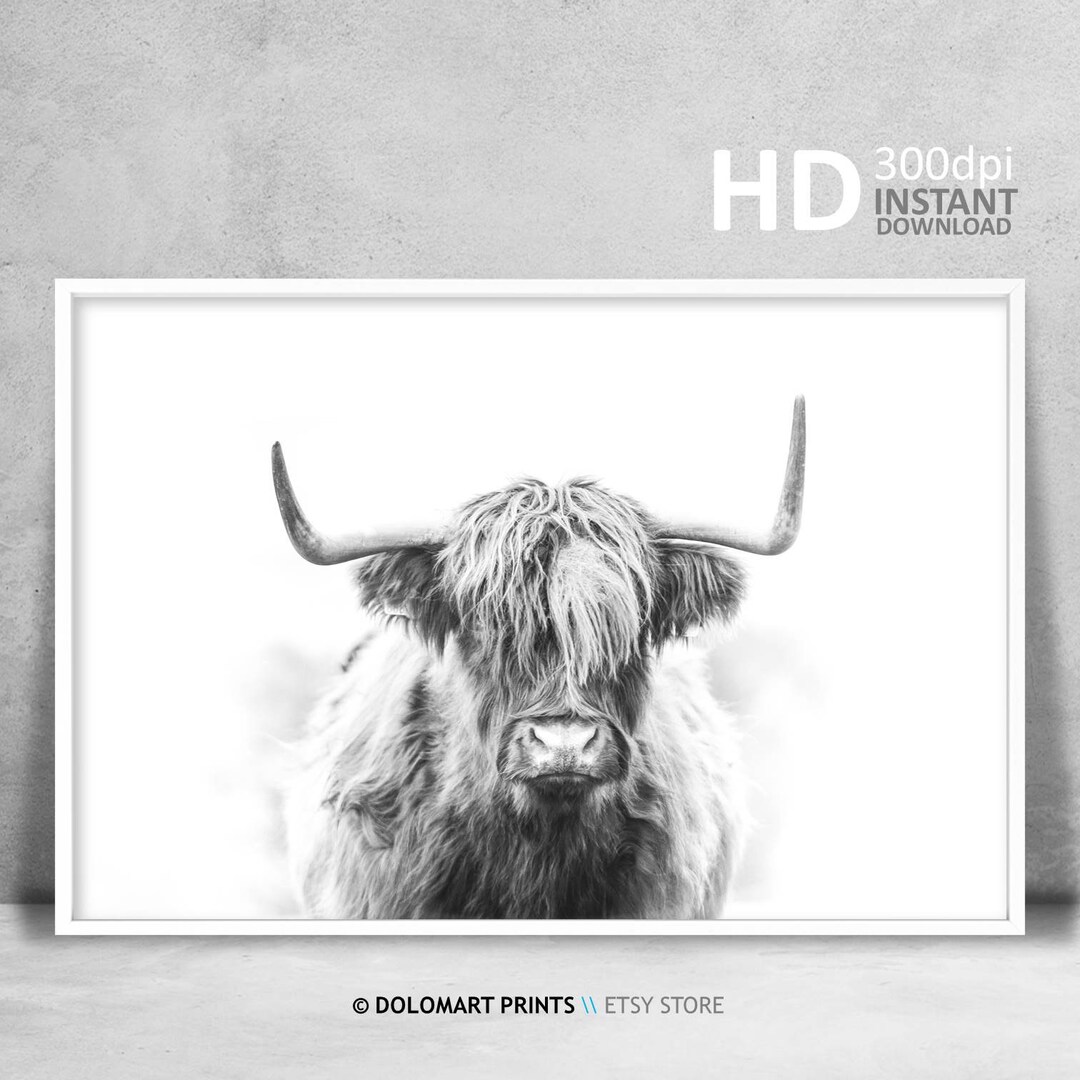 Highland Cow Print Farm Animal Wall Art Cow Poster Rustic - Etsy