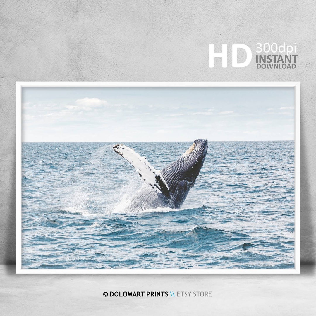 Whale Printable Wall Art, Whale Print, Beach House Poster, Whale Wall ...