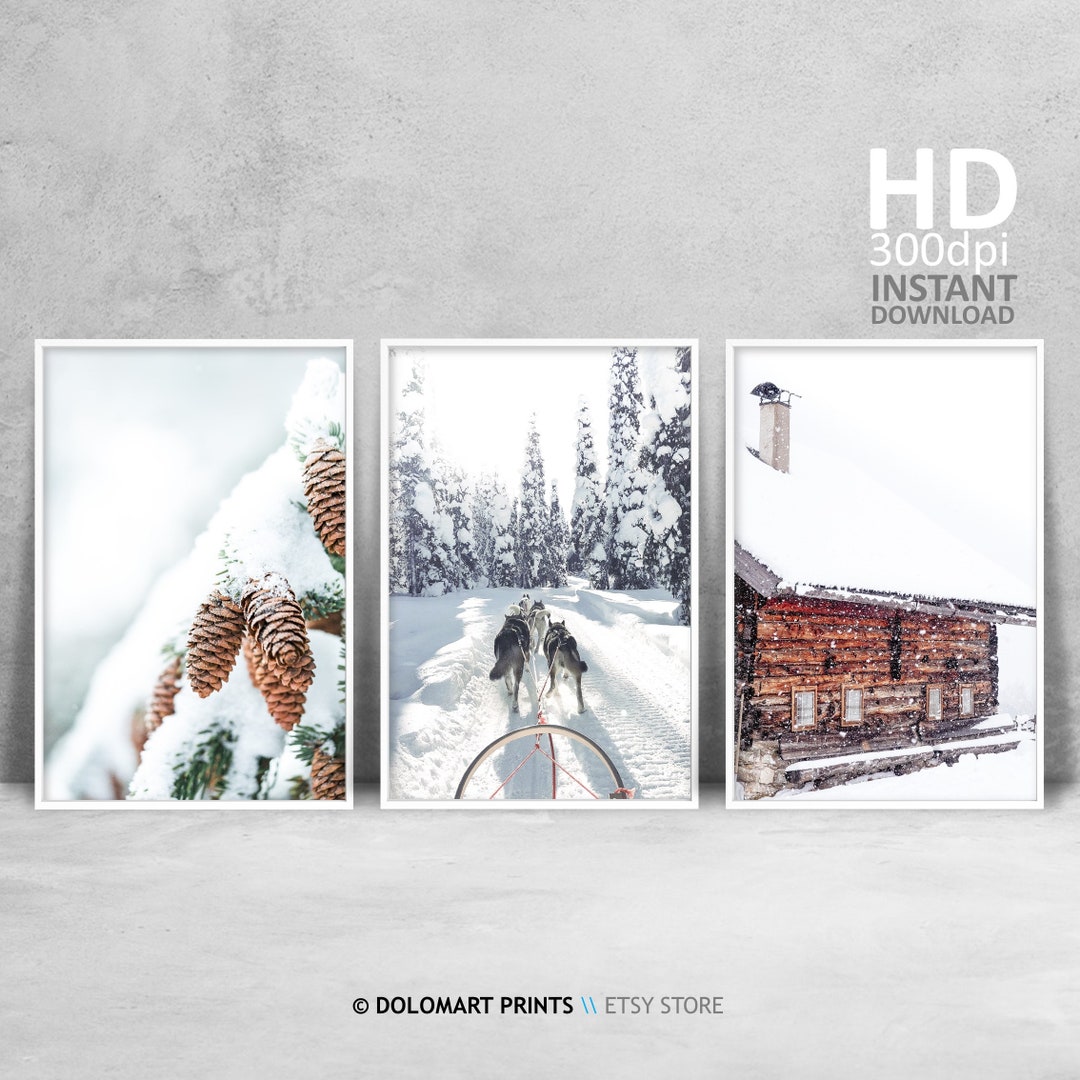 Winter Wonderland Decor Set of 3 Prints, Christmas Sleigh Print Decor ...