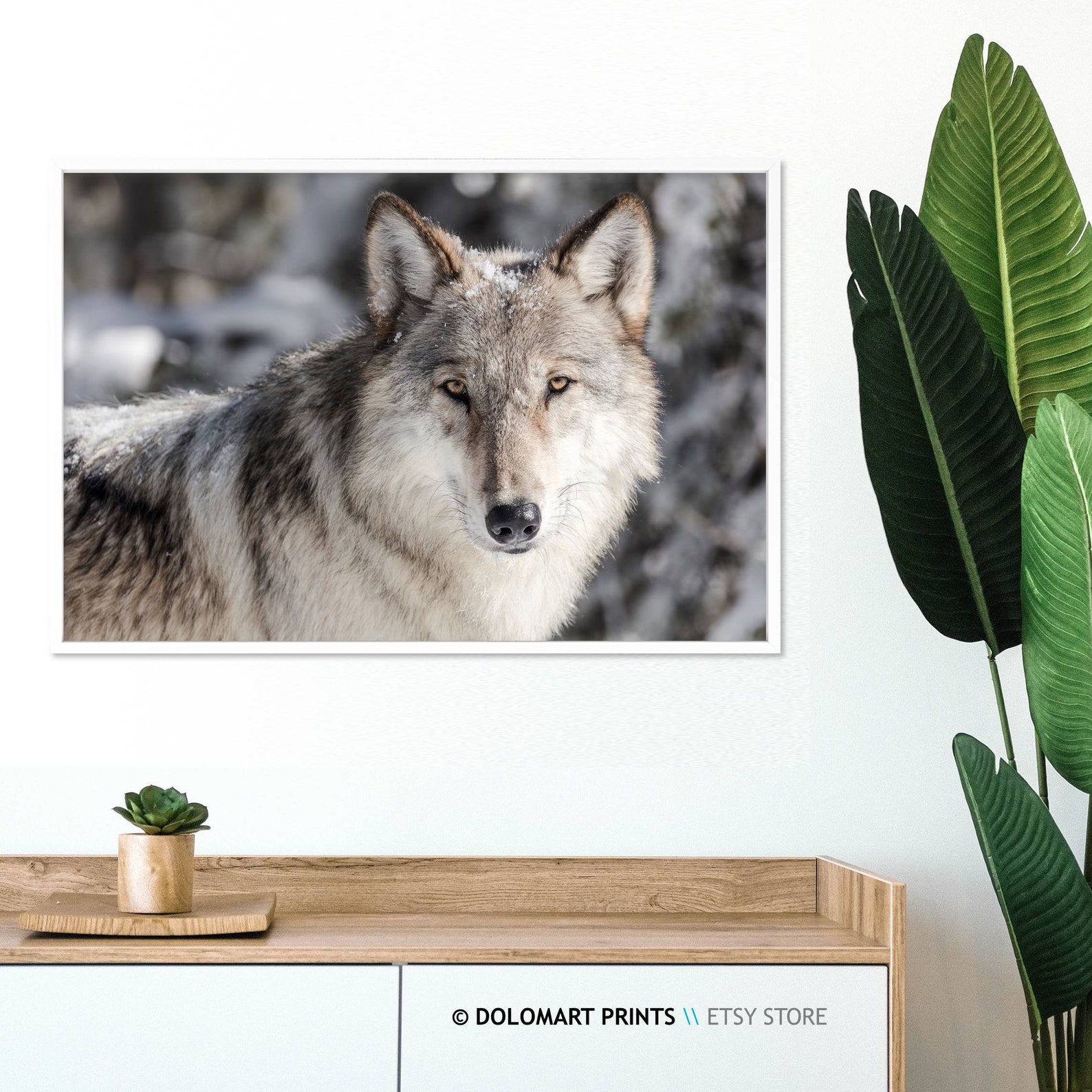 Wolf Wall Art Wolf Print Wilderness Photography Animal - Etsy