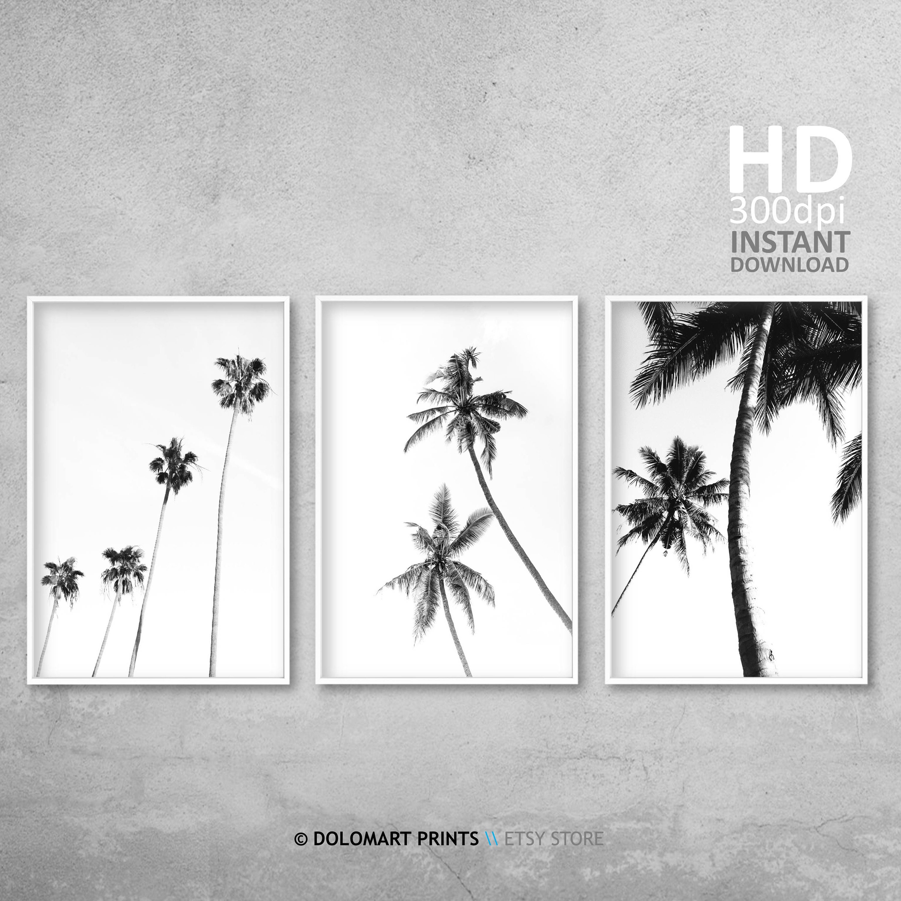 Palm Tree Print Tropical Wall Art Decor Set Of Palm Prints Etsy