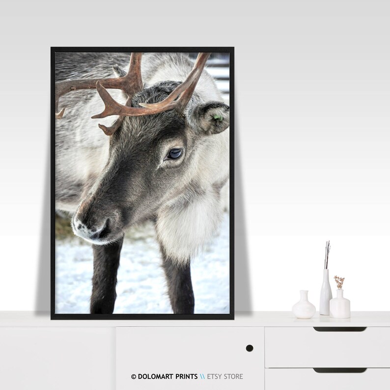 Rustic Reindeer Print, Moose Wall Art, Christmas Holidays Decor Idea ...