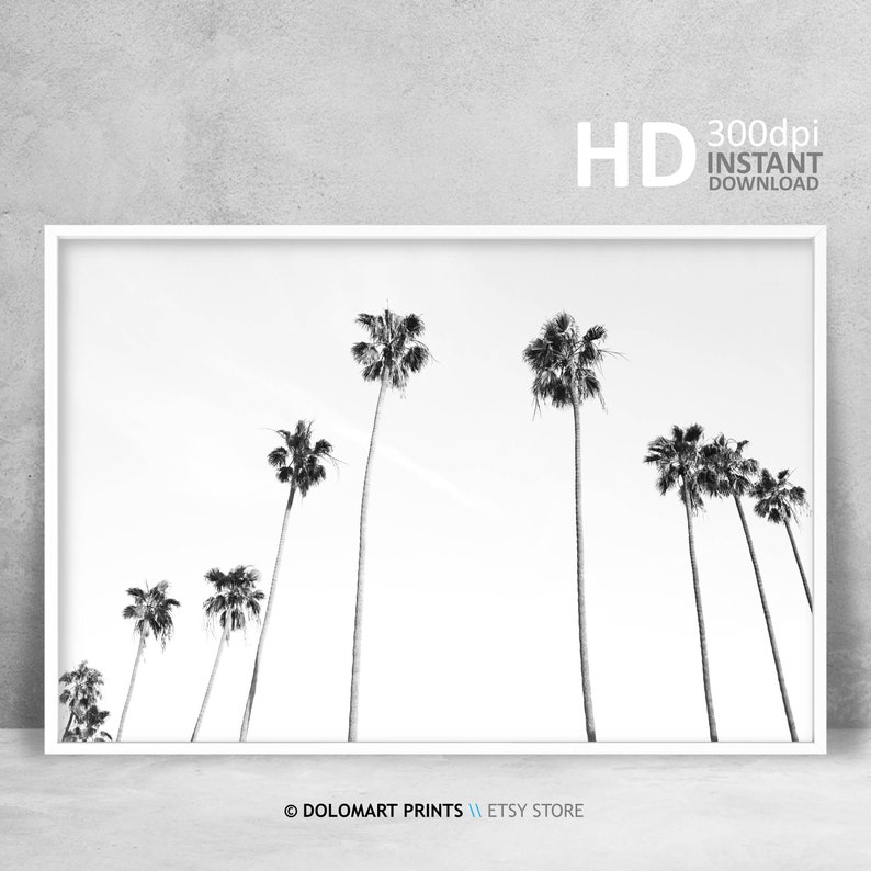 Palm Tree Print Tropical Wall Art Decor Black And White Palm Etsy