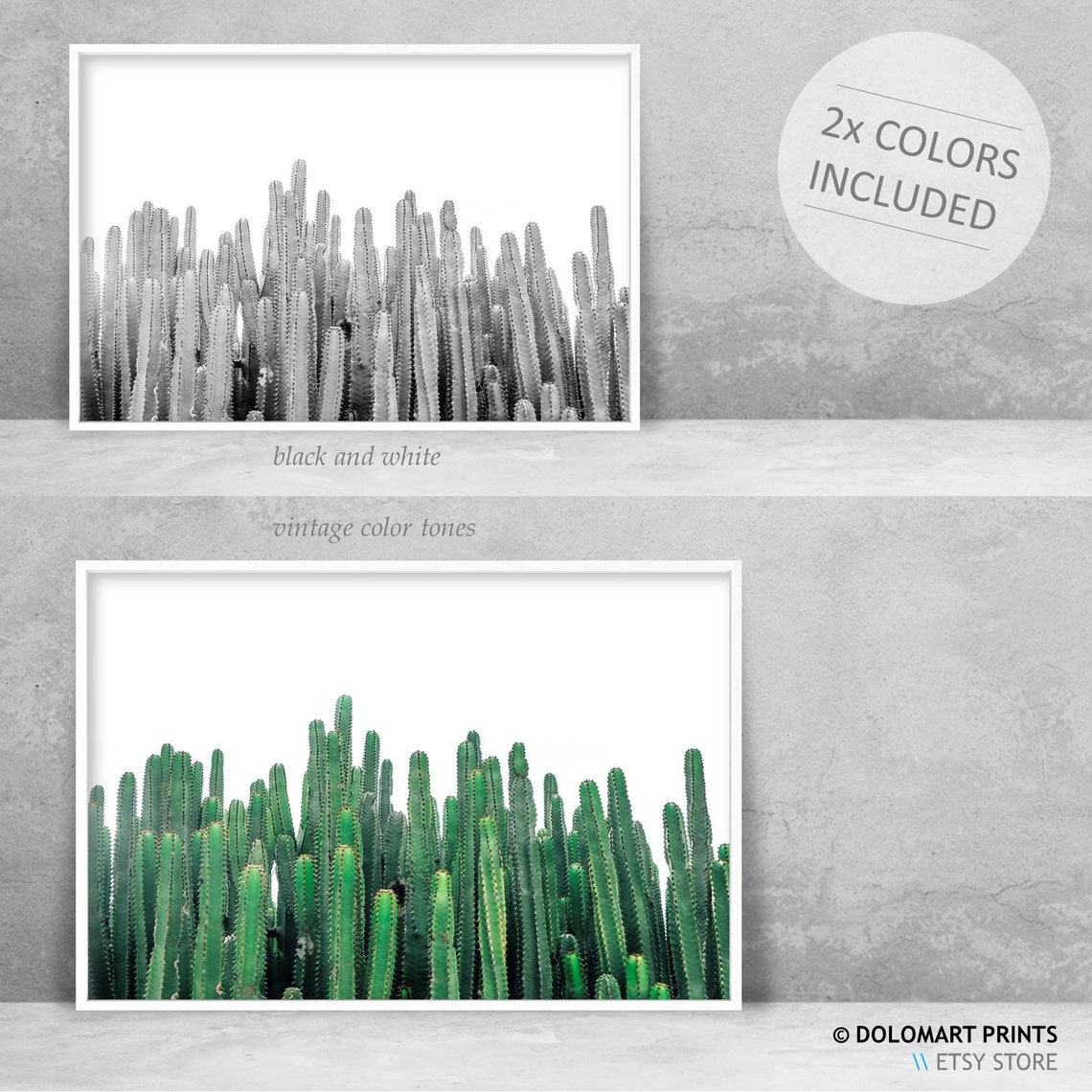 Succulent Printable Poster Minimal Cactus Wall Art | Etsy