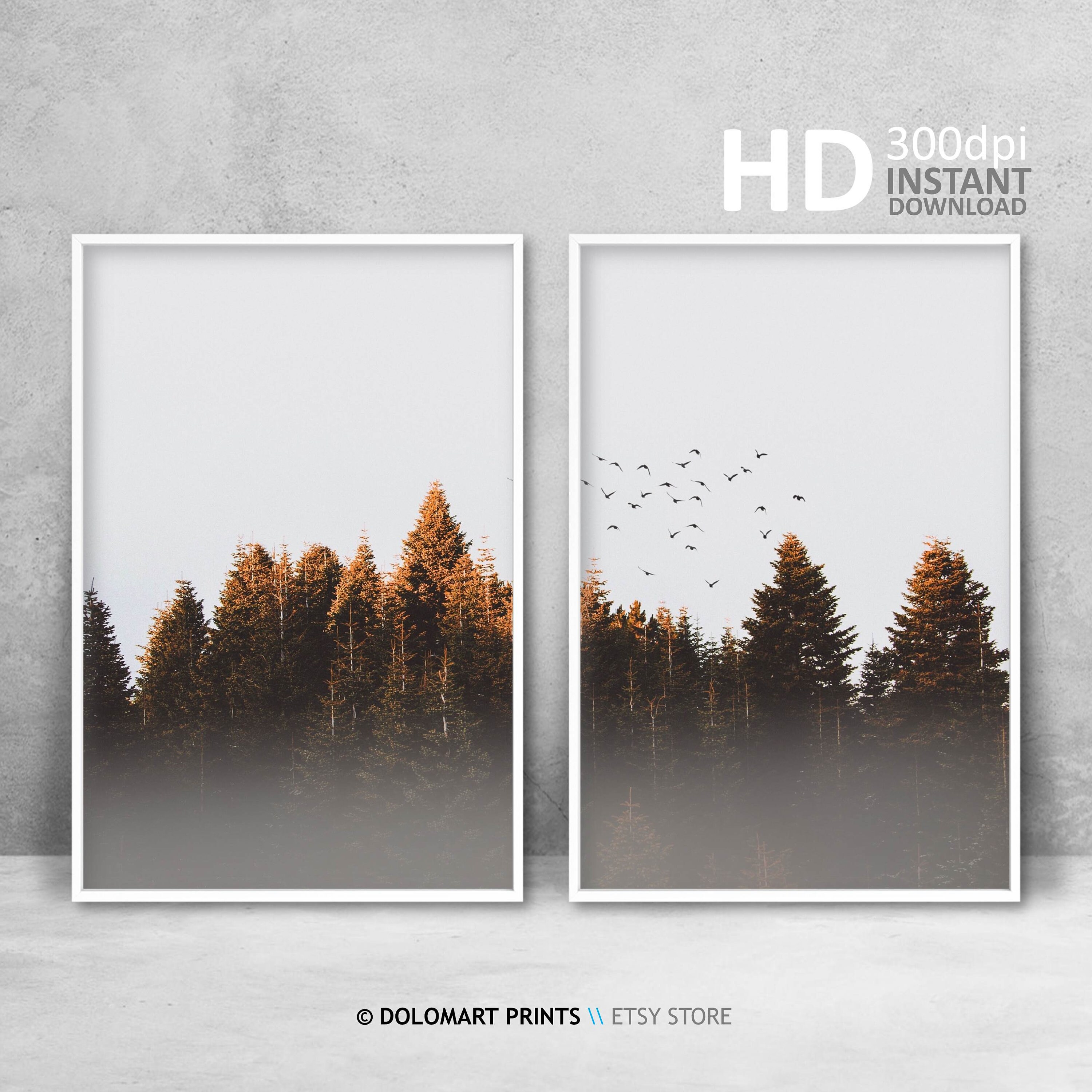 Forest Wall Art Prints Set of Nature Photography Prints - Etsy