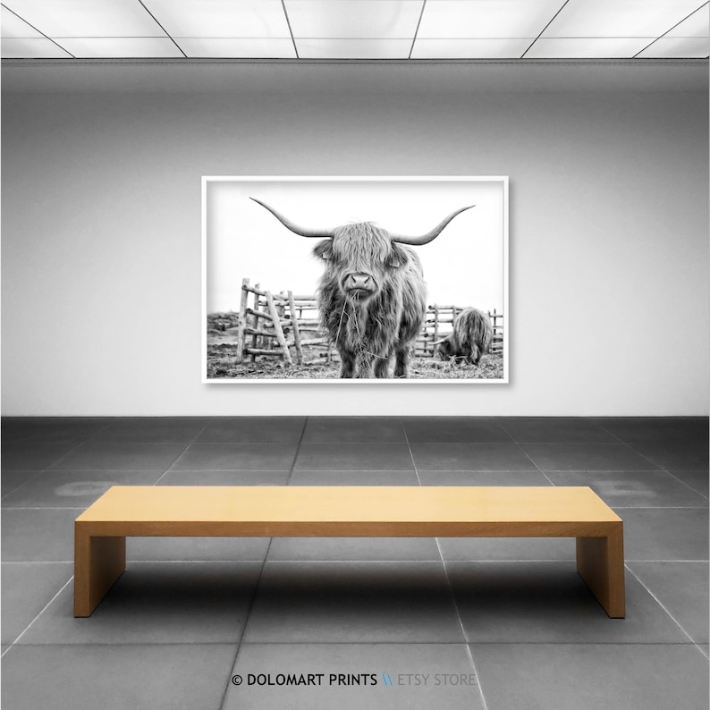 Highland Cow Print Farm Animal Wall Art Digital Download | Etsy