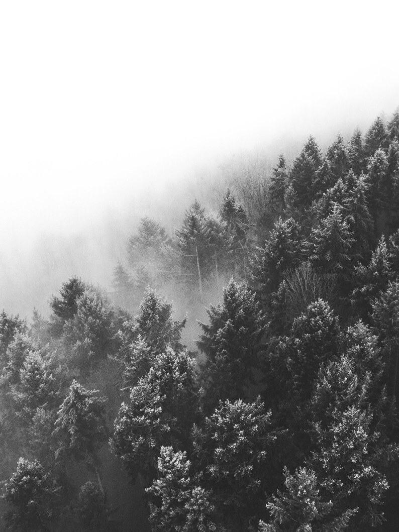 Printable Forest Art Fog Forest Mountains Foggy Nature | Etsy